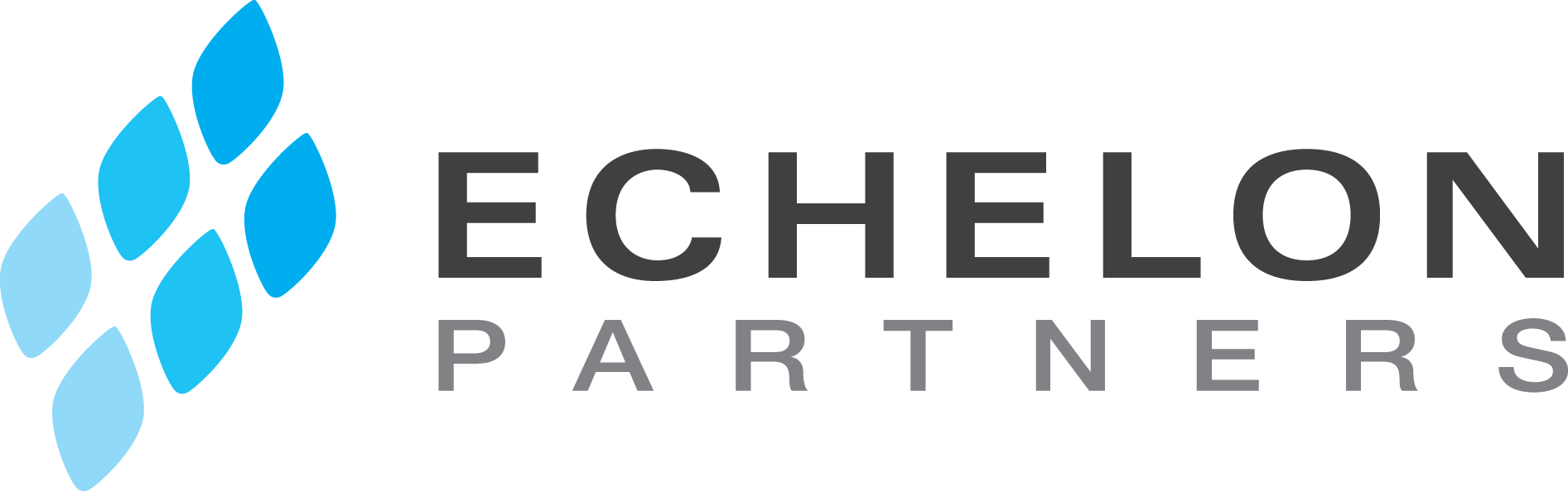 Suite of Investment Banking Services | ECHELON Partners